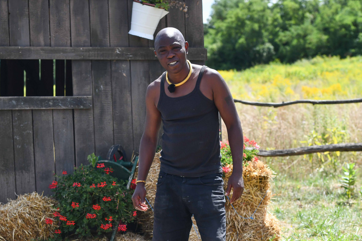 Index - Mindeközben - Fekete Pákó keserű búcsút vett a Farm VIP-től: Párbajban bárkit lenyomtam ...