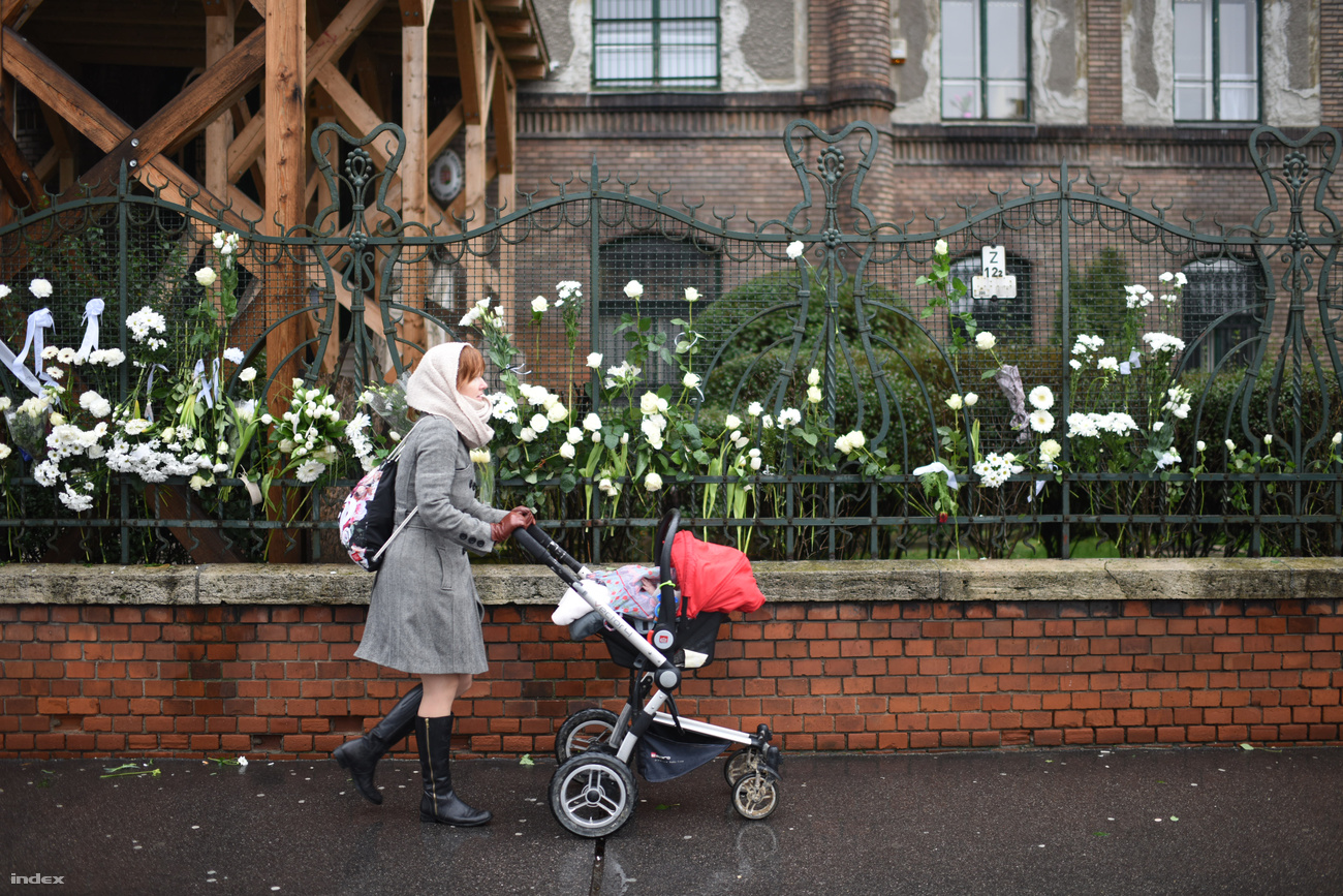 Index - Mindeközben - Fehér virágok lepték el a Teleki Blanka Gimnázium ...
