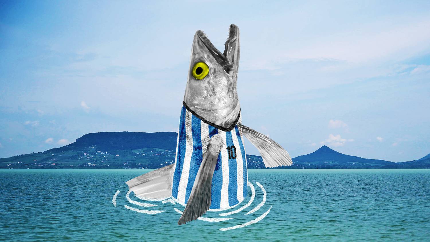 Index - Gazdaság - Hekkre épül a balatoni hekk arculata