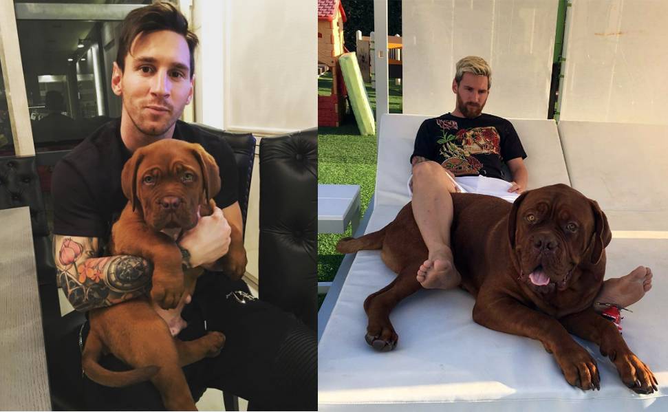 Index - Sport - Messi kutyája nagyobb lett, mint Messi