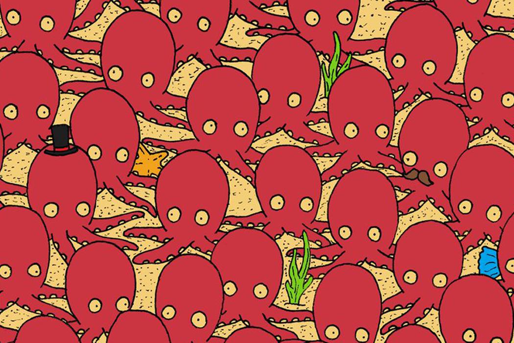 Te látod ezen a képen a halat? Mi akárhogy néztük, nem találtuk ...