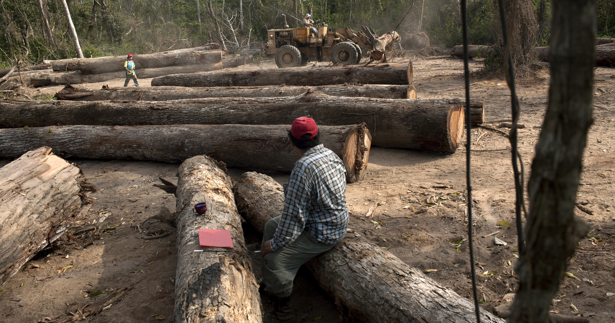 Index - Tudomány - Brazília kevesebb pénz kap Norvégiától az Amazonas ...