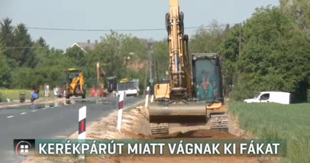 Index - Kerékagy - Muszáj volt kivágni a diófákat a Sárvár és ...