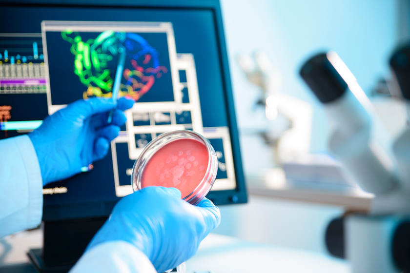 Az Alzheimer-kór és a szívbetegségek ellen is hatásos lehet: ezt kell ...