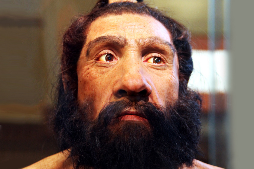 Ilyen hangja lehetett egy Neander-völgyinek: hallgasd meg ...