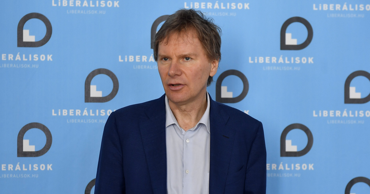 Index - Belföld - Fodor Gábor lemond a Magyar Liberális Párt éléről