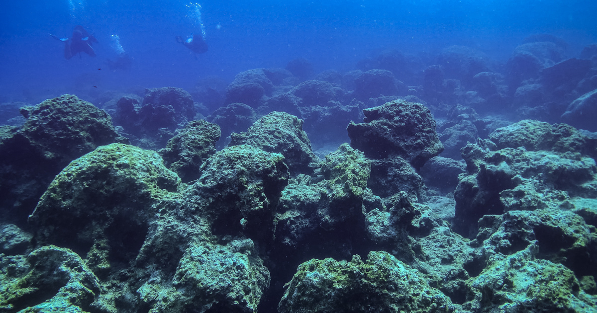 Index - Tech-Tudomány - Összeomlóban az őshonos élővilág a Földközi ...