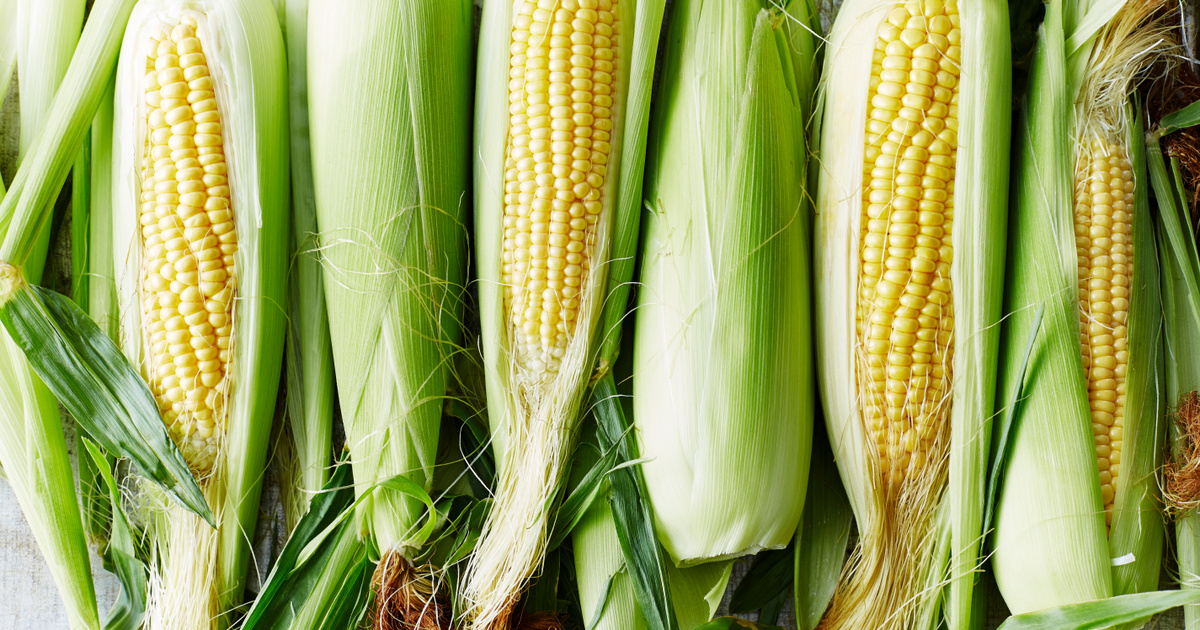 Főtt kukorica még sosem készült el ilyen gyorsan: 5 perc és eheted is ...