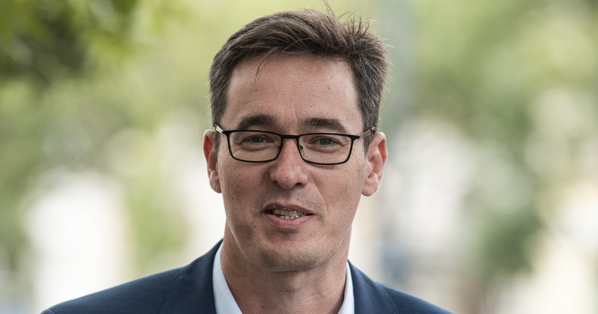 Index - Belföld - Több is lehet Karácsony Gergely mozgalmából, mint egy ...