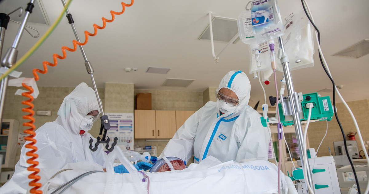 Index - Belföld - OGYÉI-főigazgató: A negyedik hullám a küszöbön áll