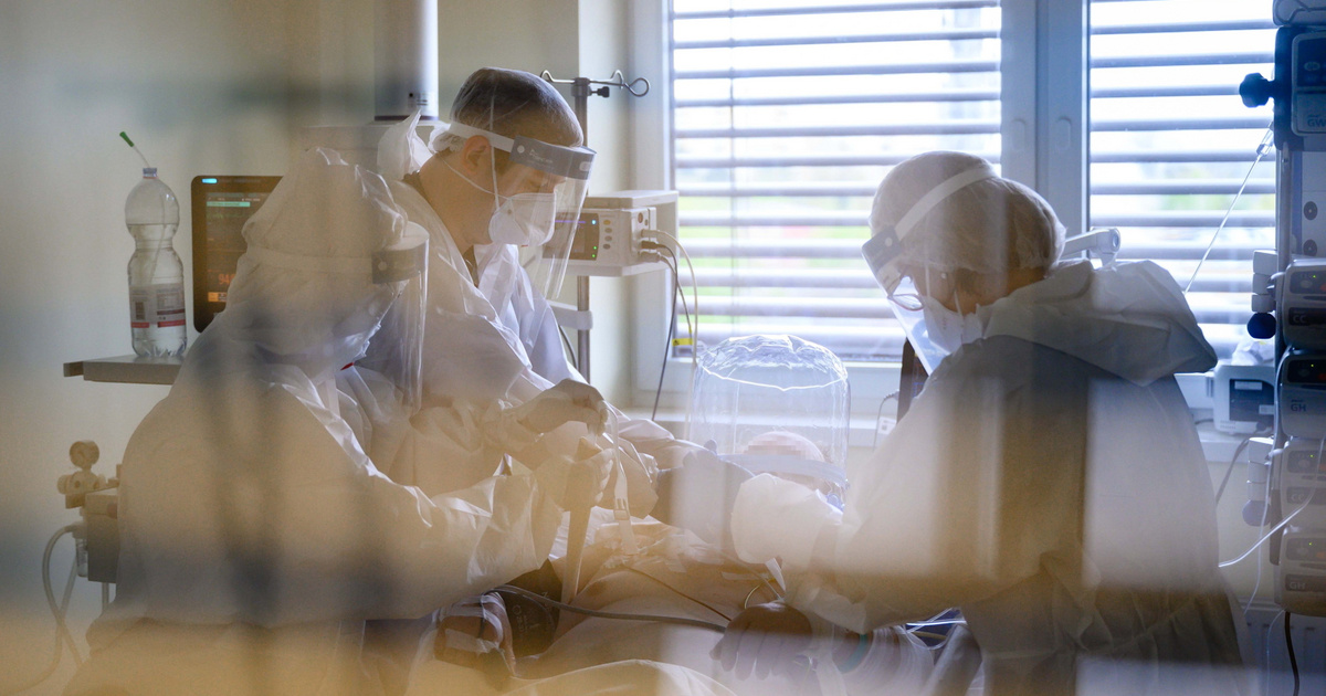 Index - Belföld - MOK-főtitkár: a magyarokat nem zavarja eléggé a ...