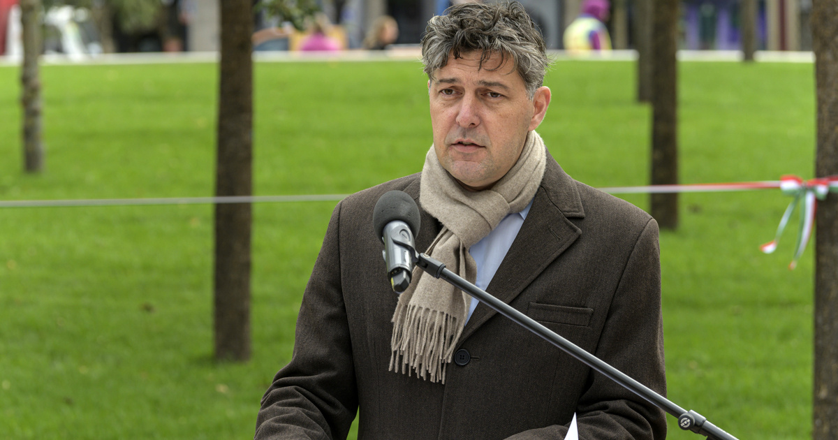 Index - Belföld - Már a NAV vizsgálja a belvárosi fideszes polgármester ...