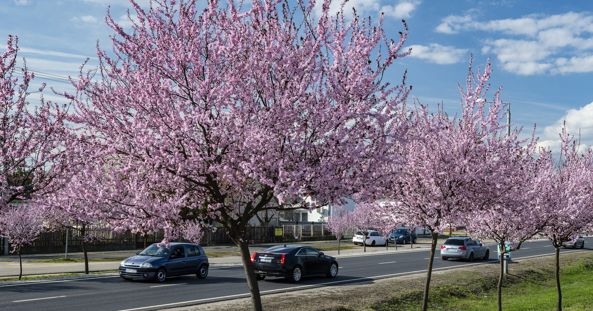 Index - Belföld - Napról napra jobban fázunk majd