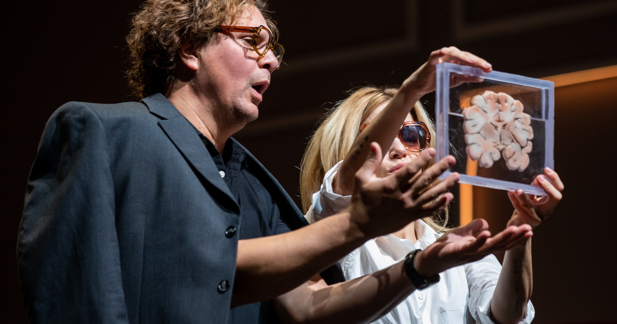 Index - Kultúr - Einstein agya eltűnt a boncasztalról