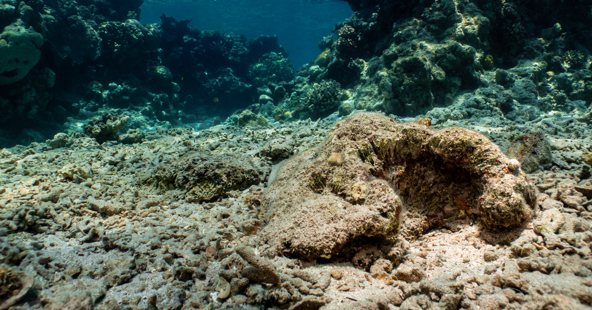 Index - Tech-Tudomány - Olyan dolgot találtak a tenger mélyén, aminek ...