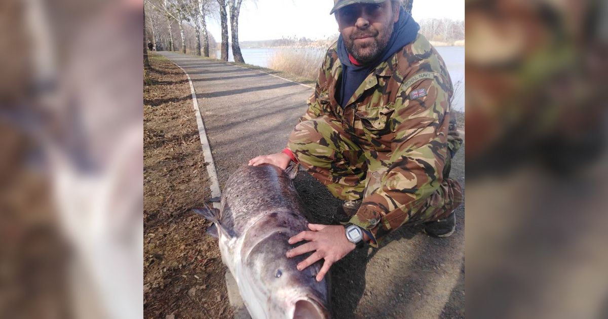 Index - Belföld - Három órán át küzdött a félmázsás busával a magyar ...