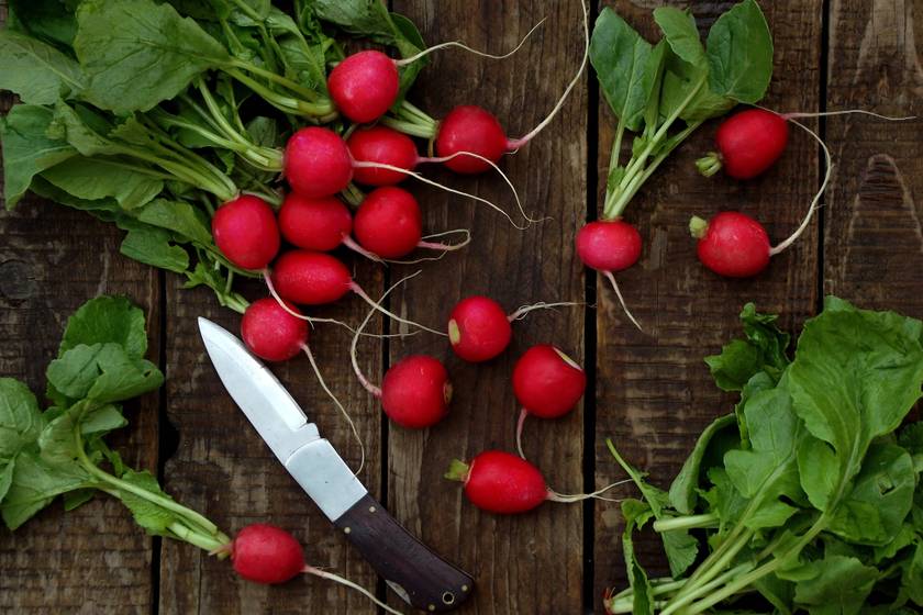 Így lesz sokáig friss és ropogós a retek: 4 tippet mutatunk ...