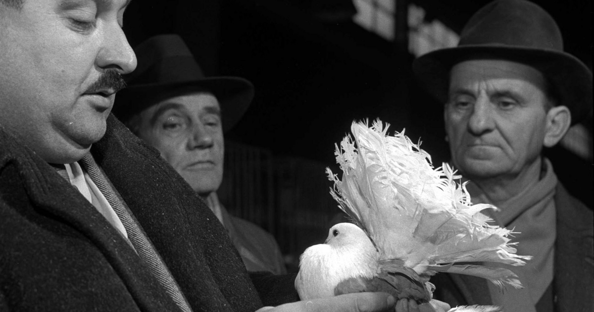 Index - Kultúr - Galamb János bosszút áll