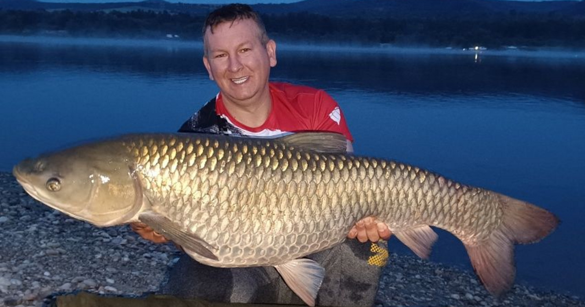 Index - Belföld - Óriási halat fogtak az öbölben