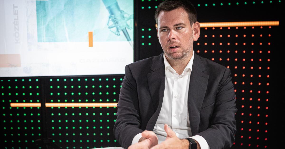 Index - Belföld - Vitézy Dávid Lázár János lépéséről: Paranoiás ...