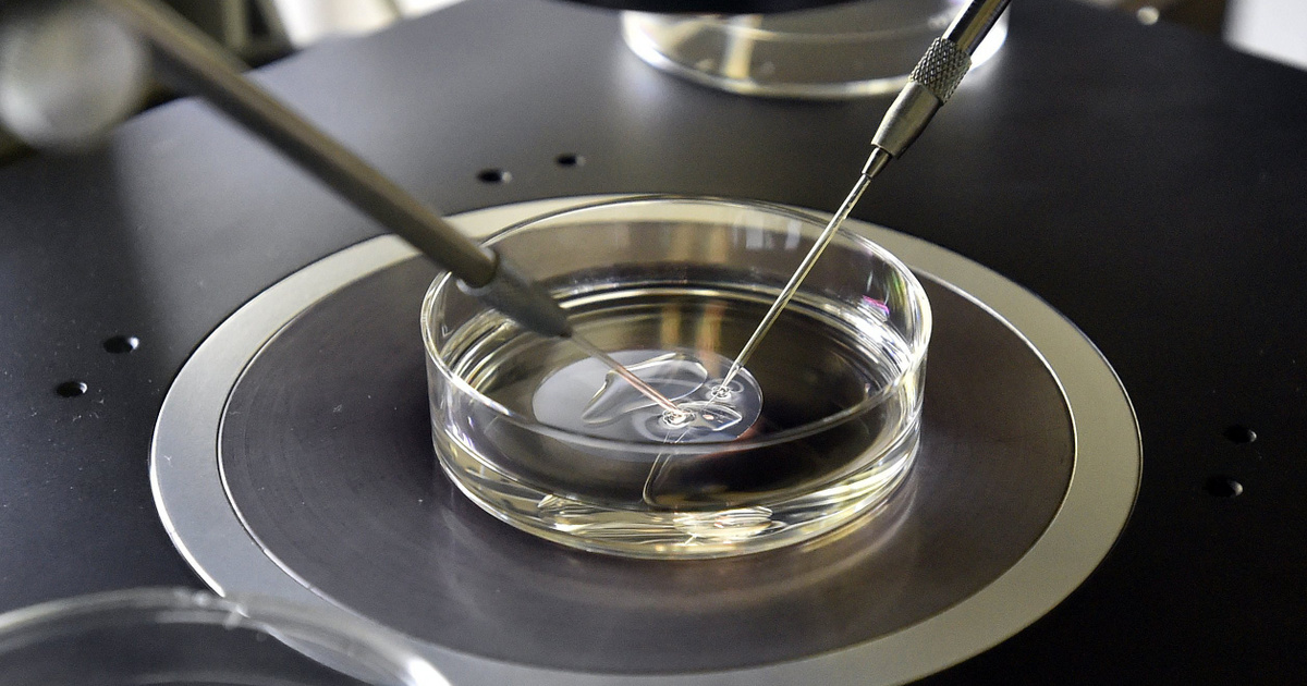 Index - Belföld - Változtatnak az állami lombikprogramon