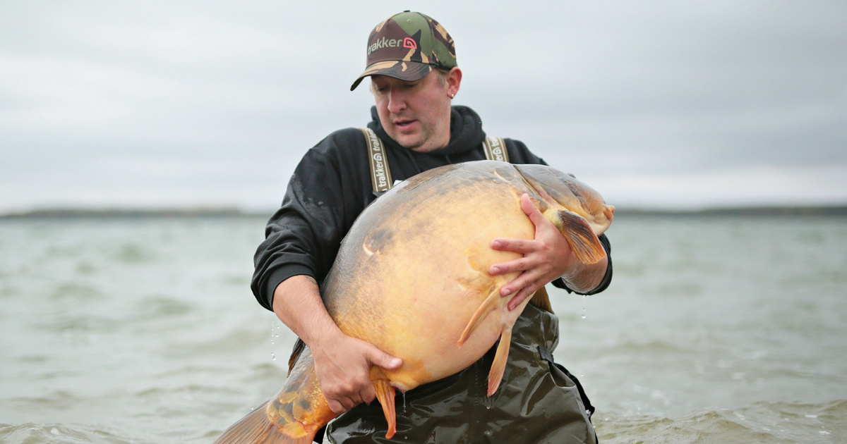 Index - Belföld - Rekordot döntött hatalmas pontyával egy horgász a ...