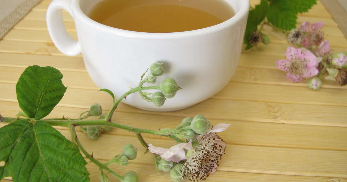 Csillapítja a hasmenést, csökkenti a puffadást: a szederlevéltea 3 ...