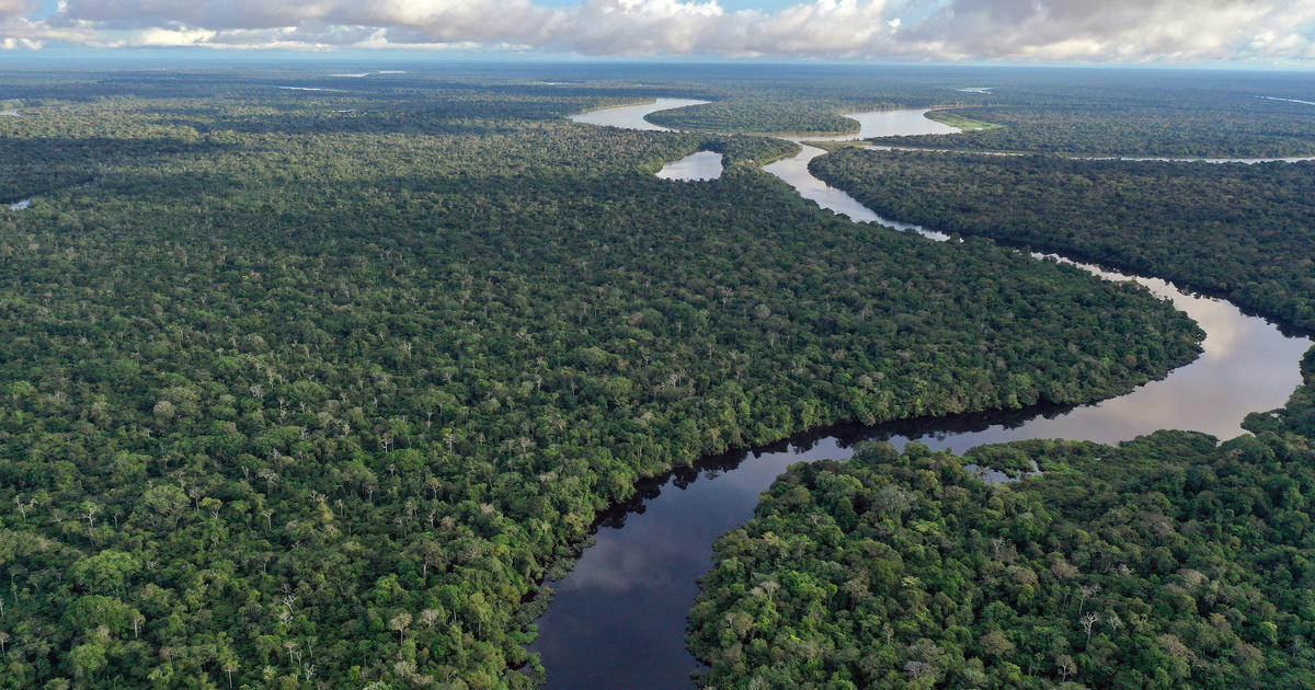Ez az Amazonas legnagyobb rejtélye: csak kevesen ismerik a titkot - Dívány