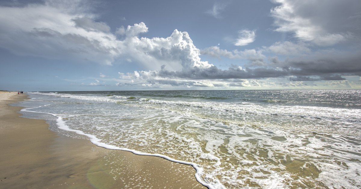 Hátborzongató tetemet mosott partra a tenger: fotók készültek a lényről ...