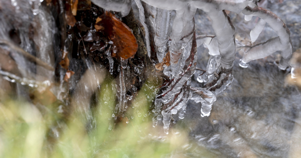 Index - Belföld - Rossz hírt kaptak a fázós emberek, fagyveszély ...