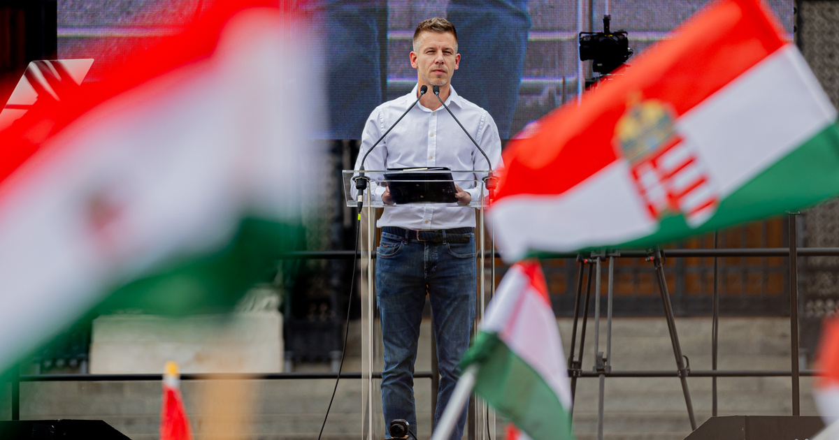 Index - Belföld - Magyar Péter sörrel jelent meg a tüntetők között