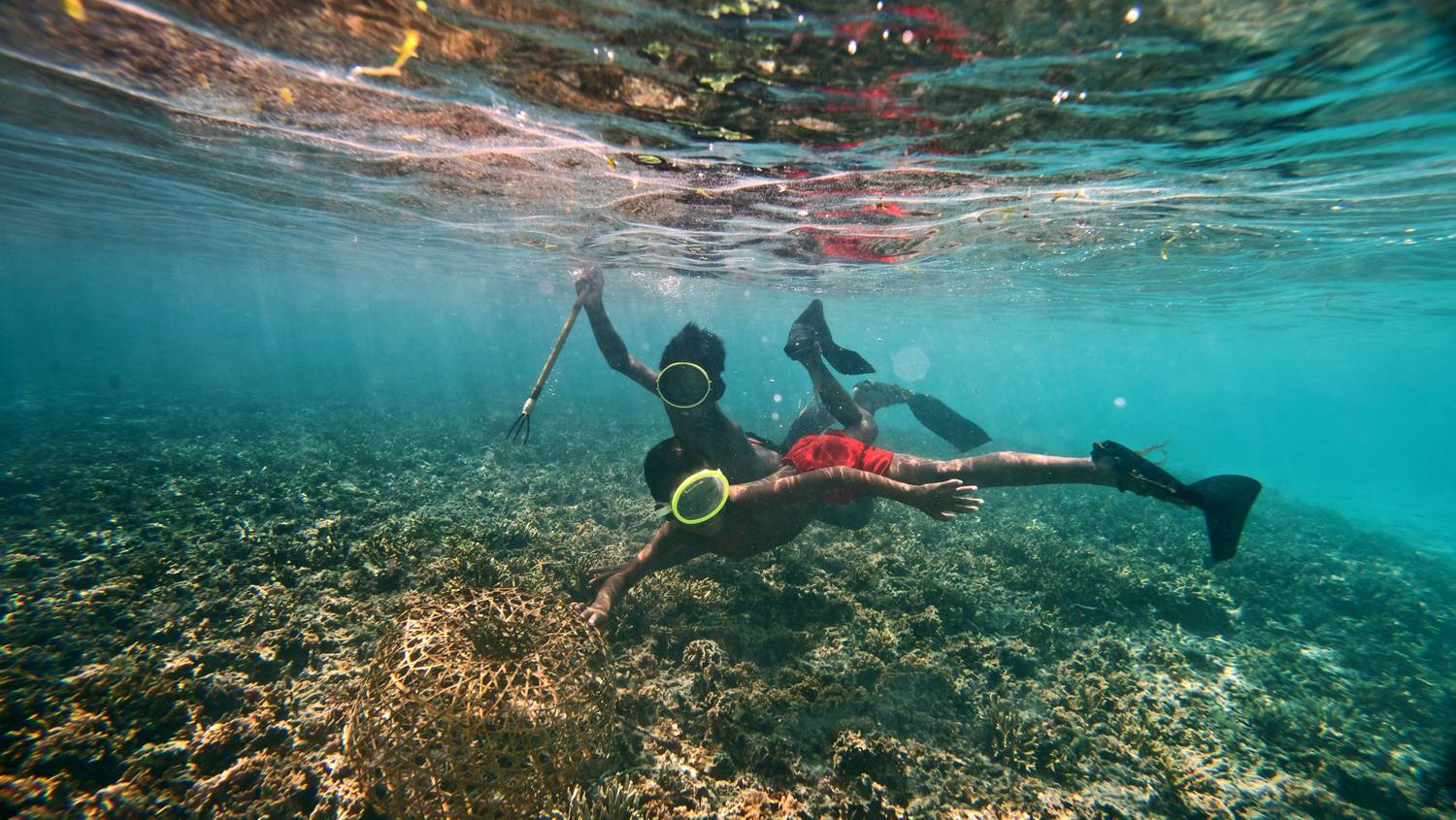 Velvet - Check-out - Egy mutációnak köszönhetően 5 órát képes víz alatt tölteni egy ázsiai törzs
