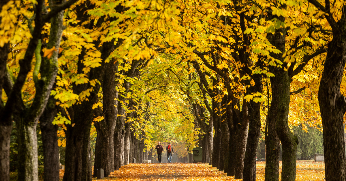 Hétvégi programok Budapesten (szeptember 19–22.) - Cikkek - We love ...