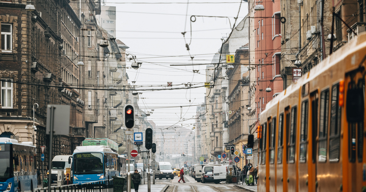 A blahai láma, Gino majálisa és a panelapokalipszis – 4+1 budapesti ...