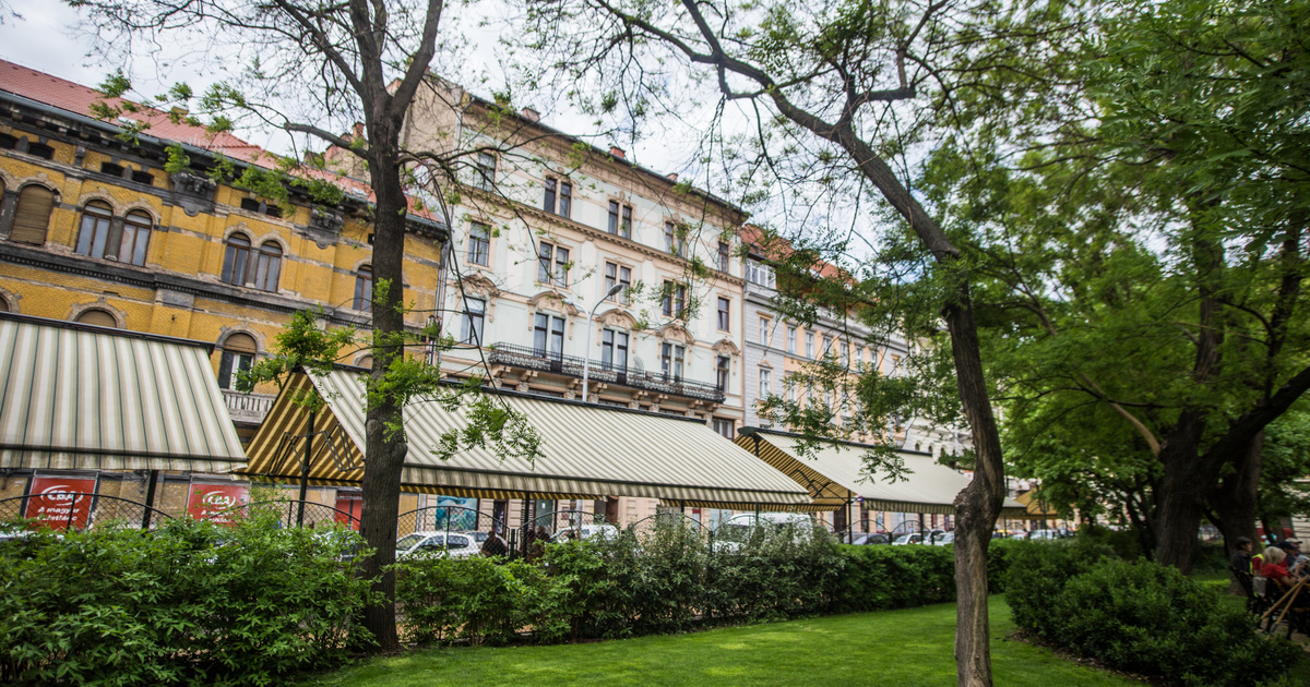 Hatker hatkor helytörténeti klub – A Hunyadi tér és a vásárcsarnok - Programok - We love Budapest