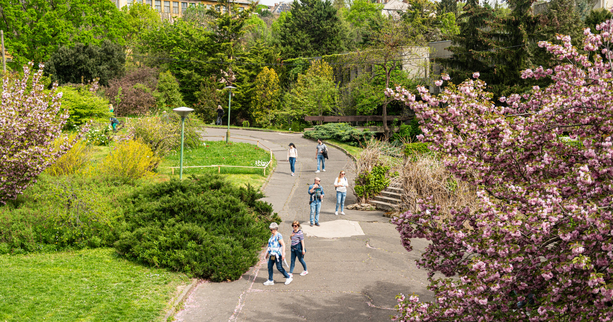 Ingyenes programok Budapesten áprilisban - Toplista - We love Budapest