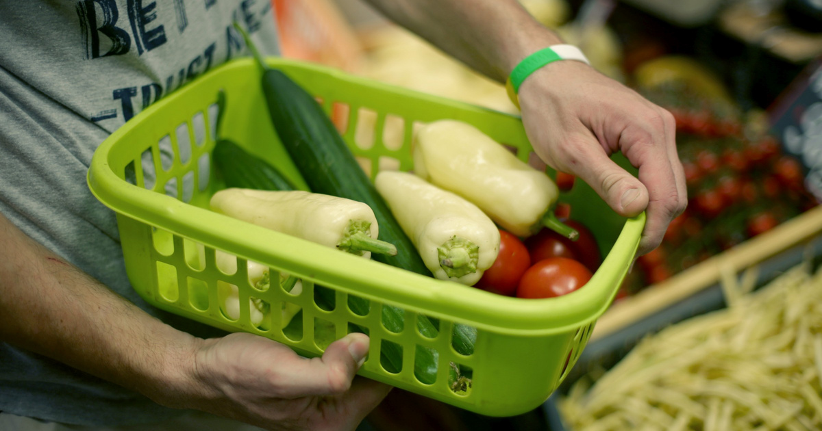 Fermentáló workshop a siófoki Toyee Interaktív Kalandparkban - Program ...