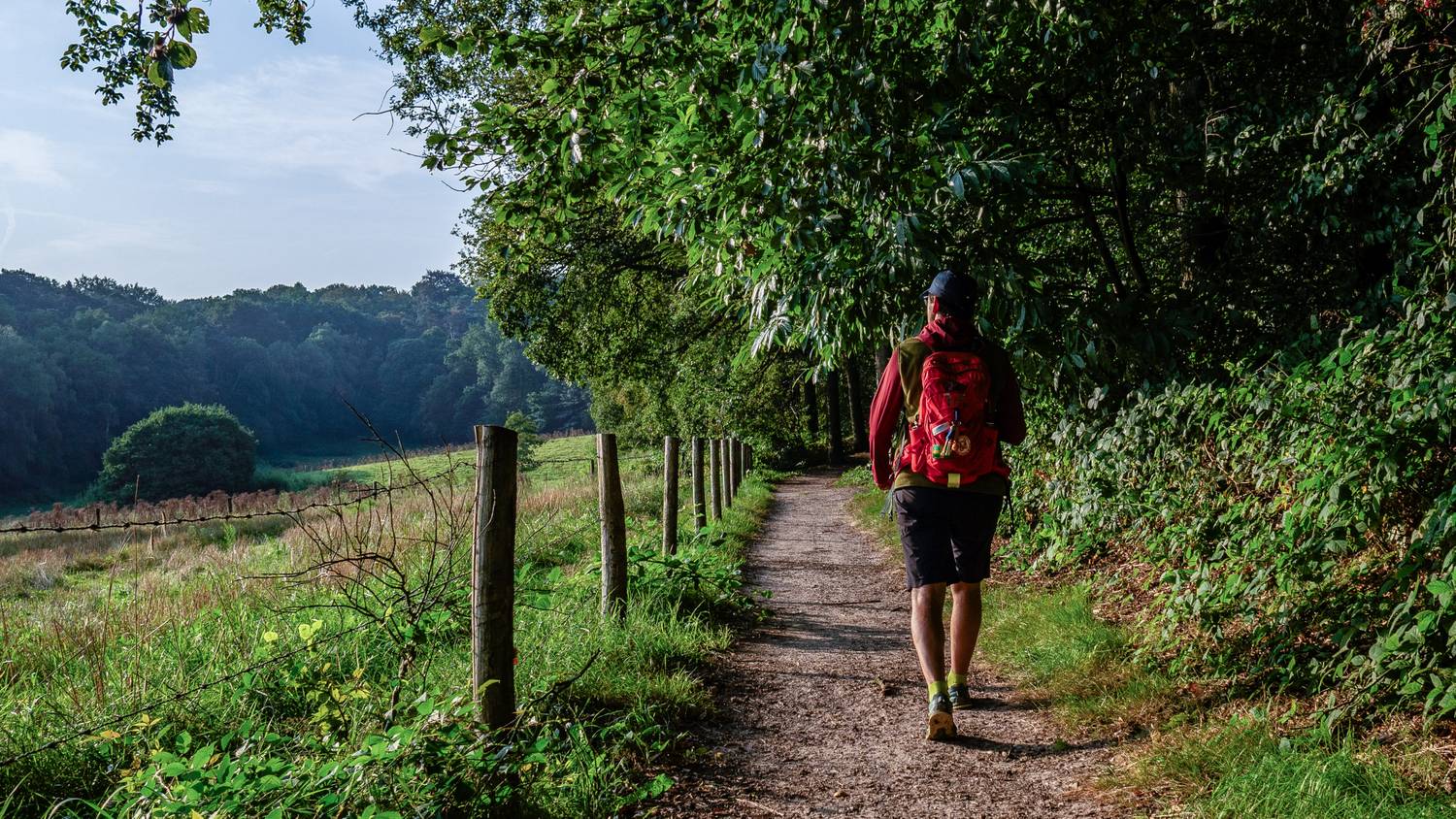 Velvet - Check-out - Egy férfi 100.000 lépést tett meg egy nap alatt: ilyen hatással volt az ...