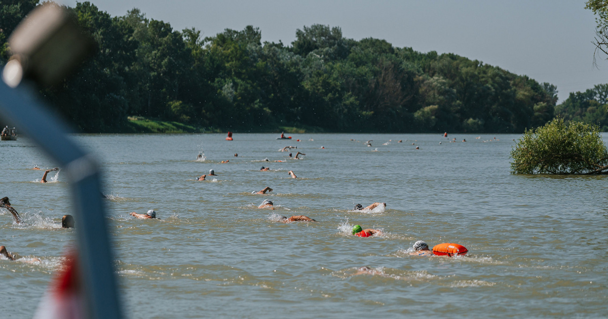 Open Water Tournament 2025 – Danube Crossing from Szentendre to Lupa ...