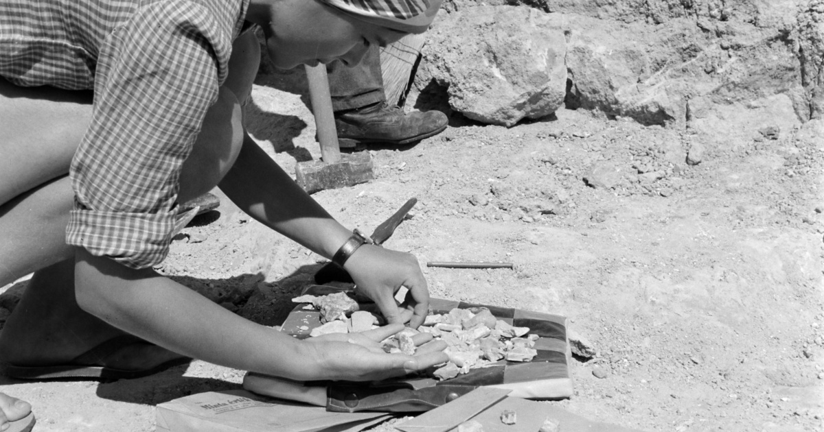 A 350 ezer éves ősünk – 60 éve találták meg Samu, az előember maradványait - Cikkek - We love ...