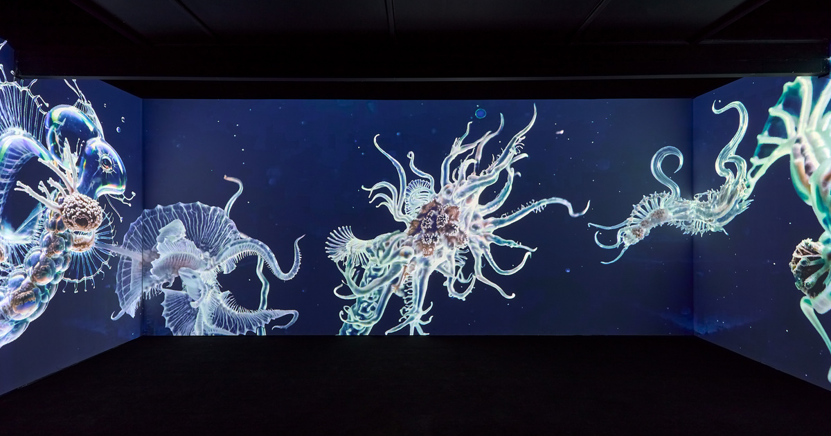 More Than Human – Kiállítás a Light Art Museumban - Programok - We love Budapest