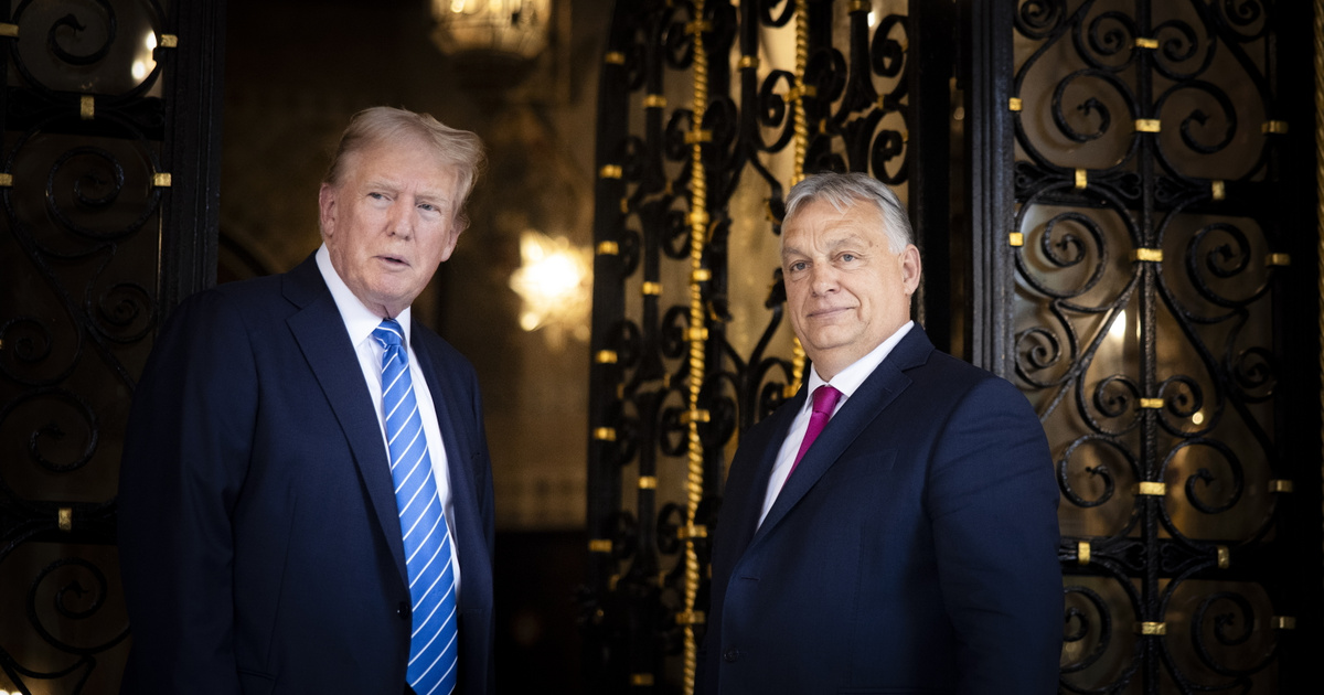Orban: Trump's Kitchen Visit Revealed | Domestic News - NewsyList