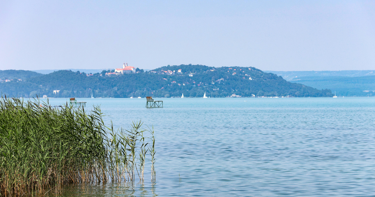 Aggasztó felvétel terjed a Balatonról: így néz ki most a népszerű tó ...