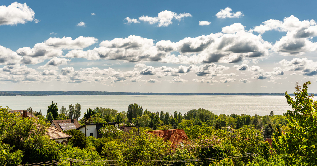 Igaz vagy hamis? – Balatoni kvíz - Cikkek - We love Balaton
