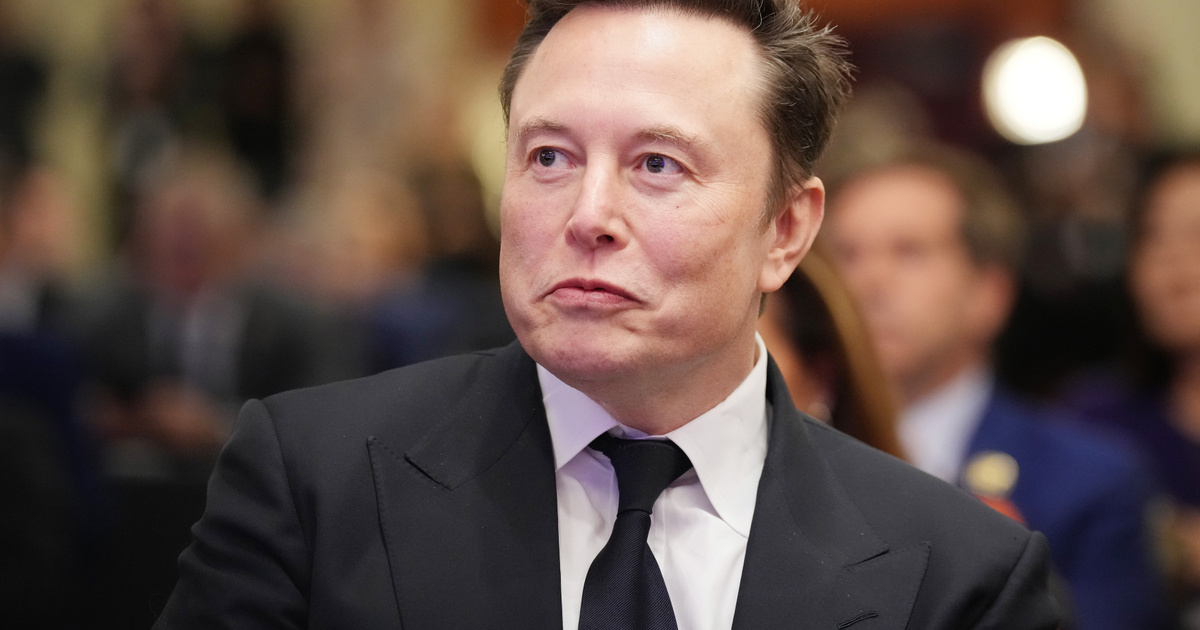 Elon Musk transznemű lánya fehérneműben állt modellt: Vivian Rihanna új ...